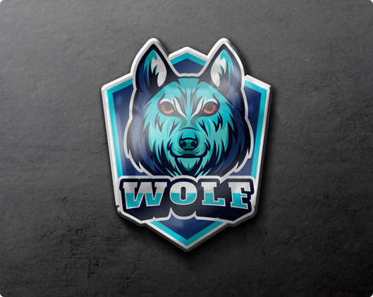 Custom Sports Logos Design Company in USA | The Design Symmetry